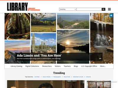 25 Best Library Website Examples in 2025 | CyberOptik