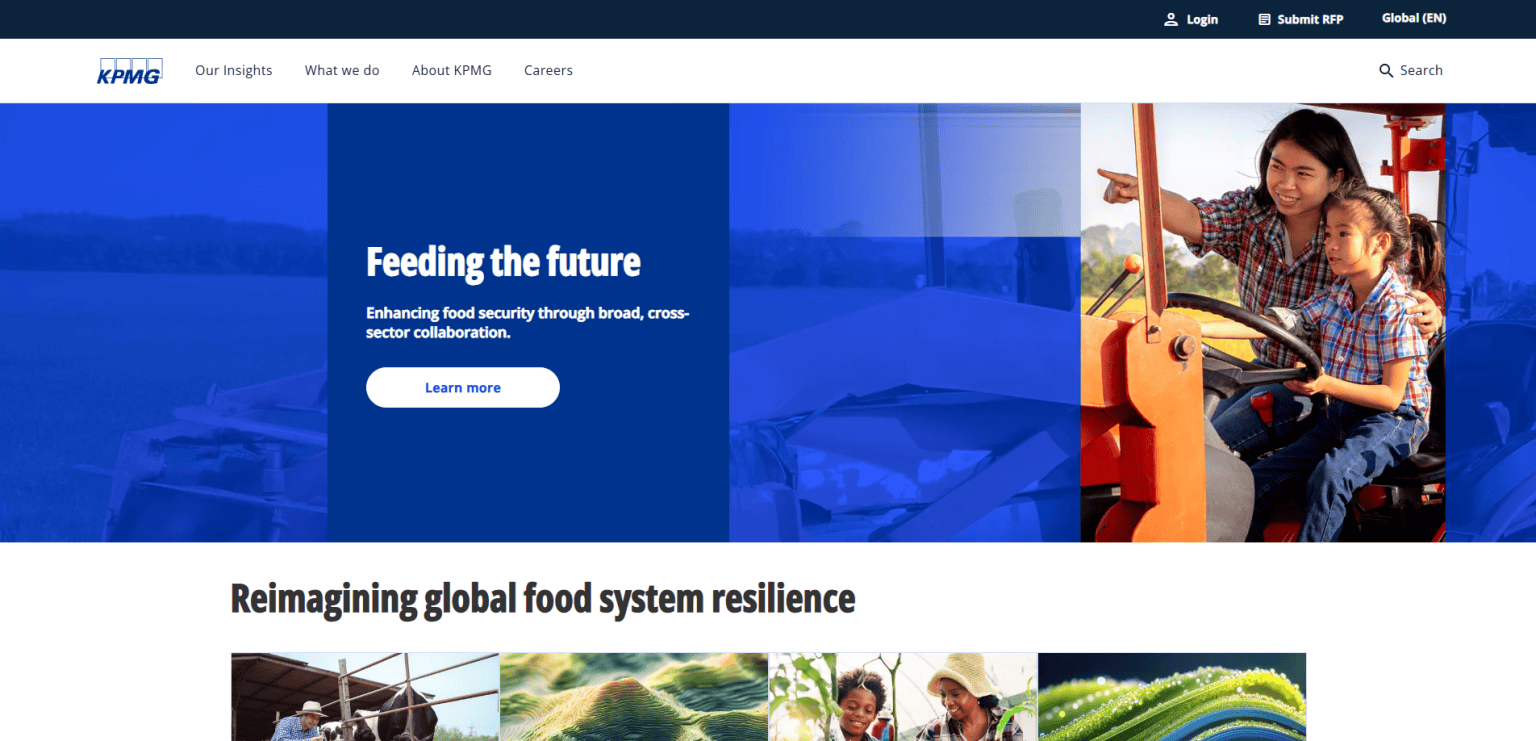 20 Best CPA Websites of 2025 I CyberOptik